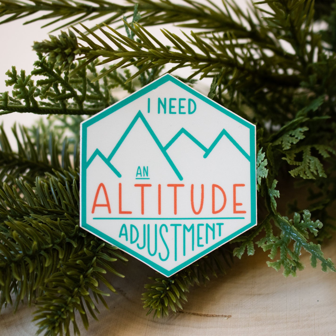 Altitude Adjustment Waterproof Sticker – Riley Funk Designs