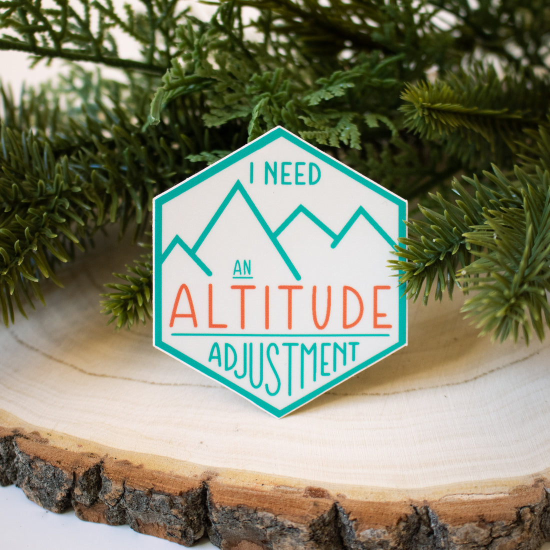 Altitude Adjustment Waterproof Sticker – Riley Funk Designs