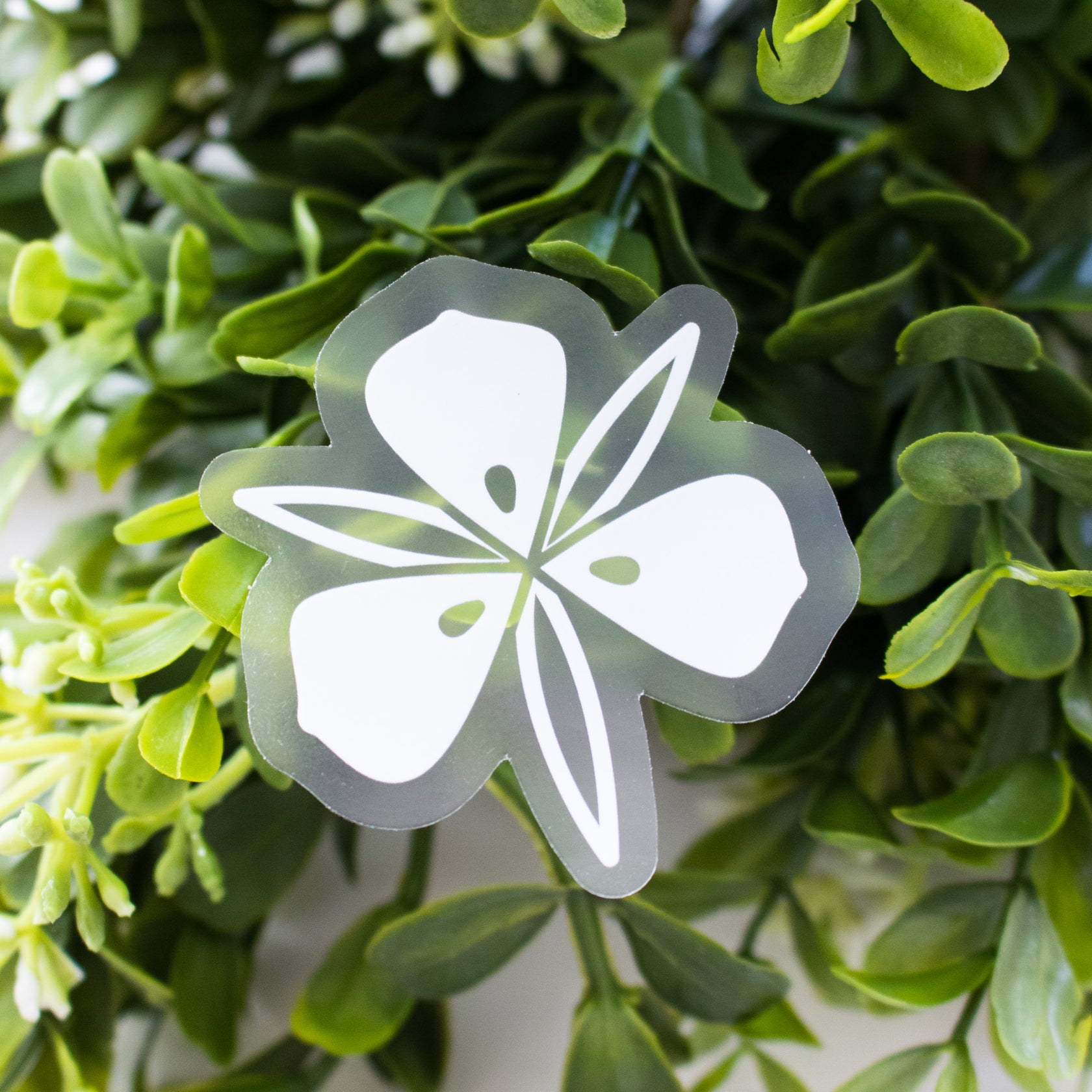 Clear Sego Lily Sticker – Riley Funk Designs