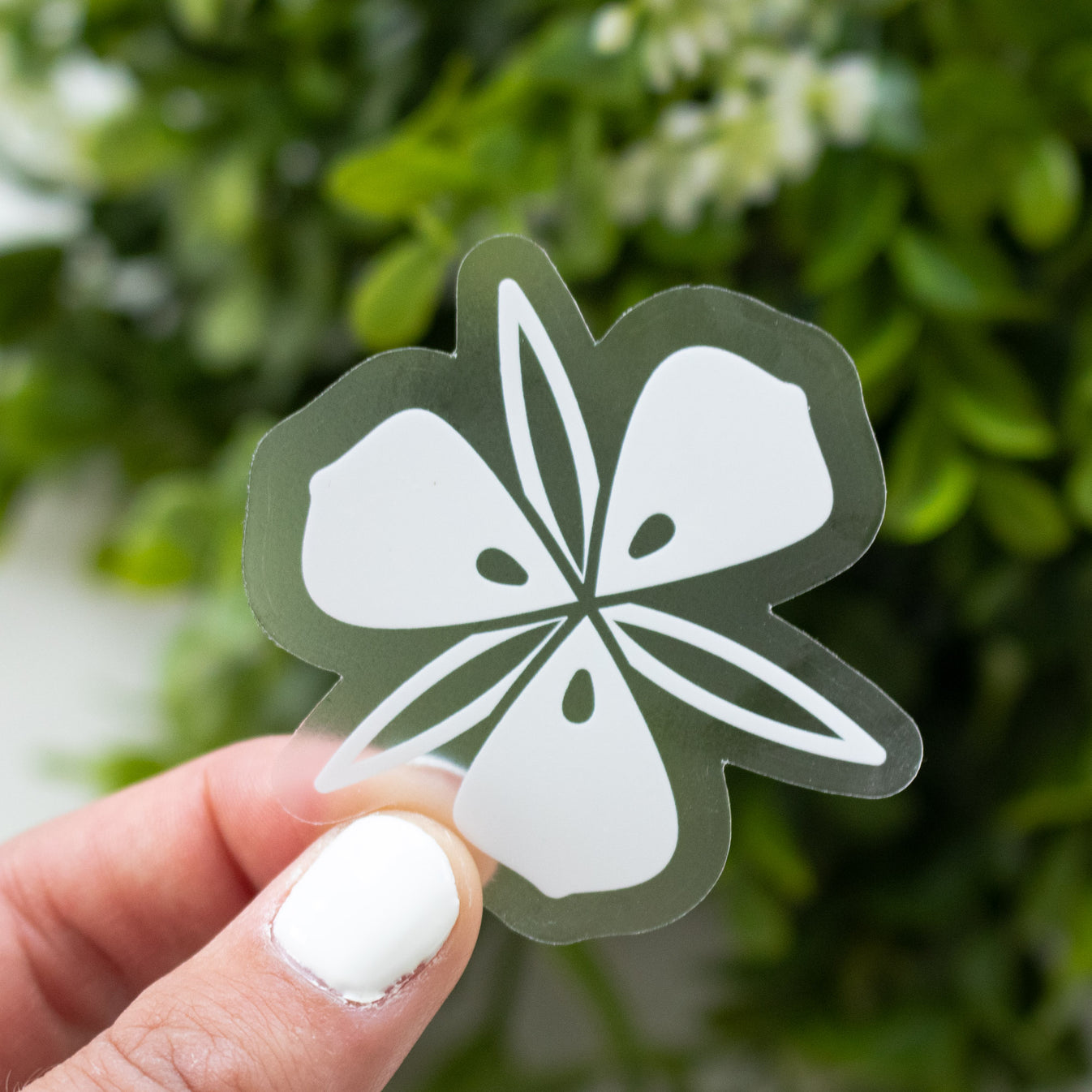 Clear Sego Lily Sticker – Riley Funk Designs