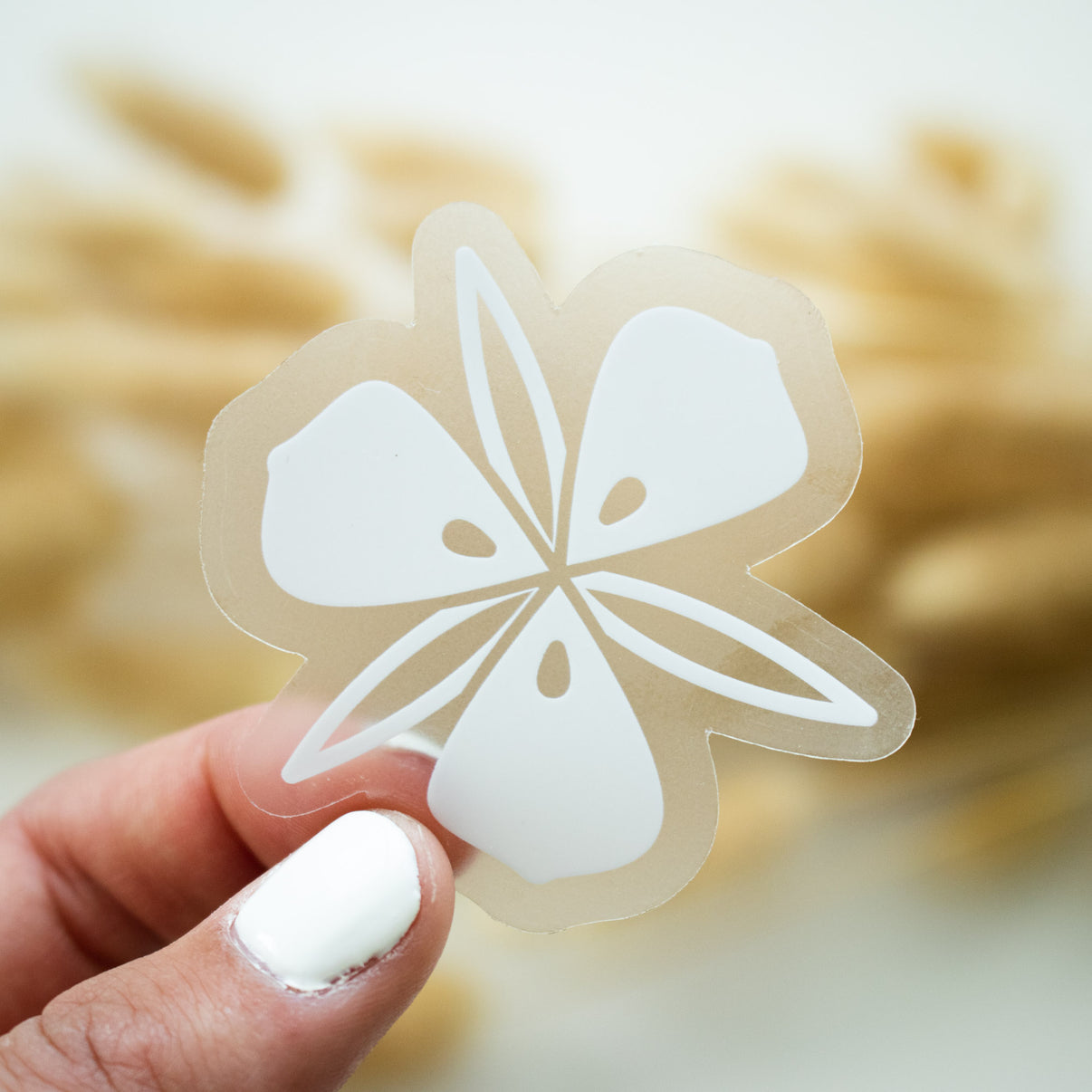 Clear Sego Lily Sticker – Riley Funk Designs